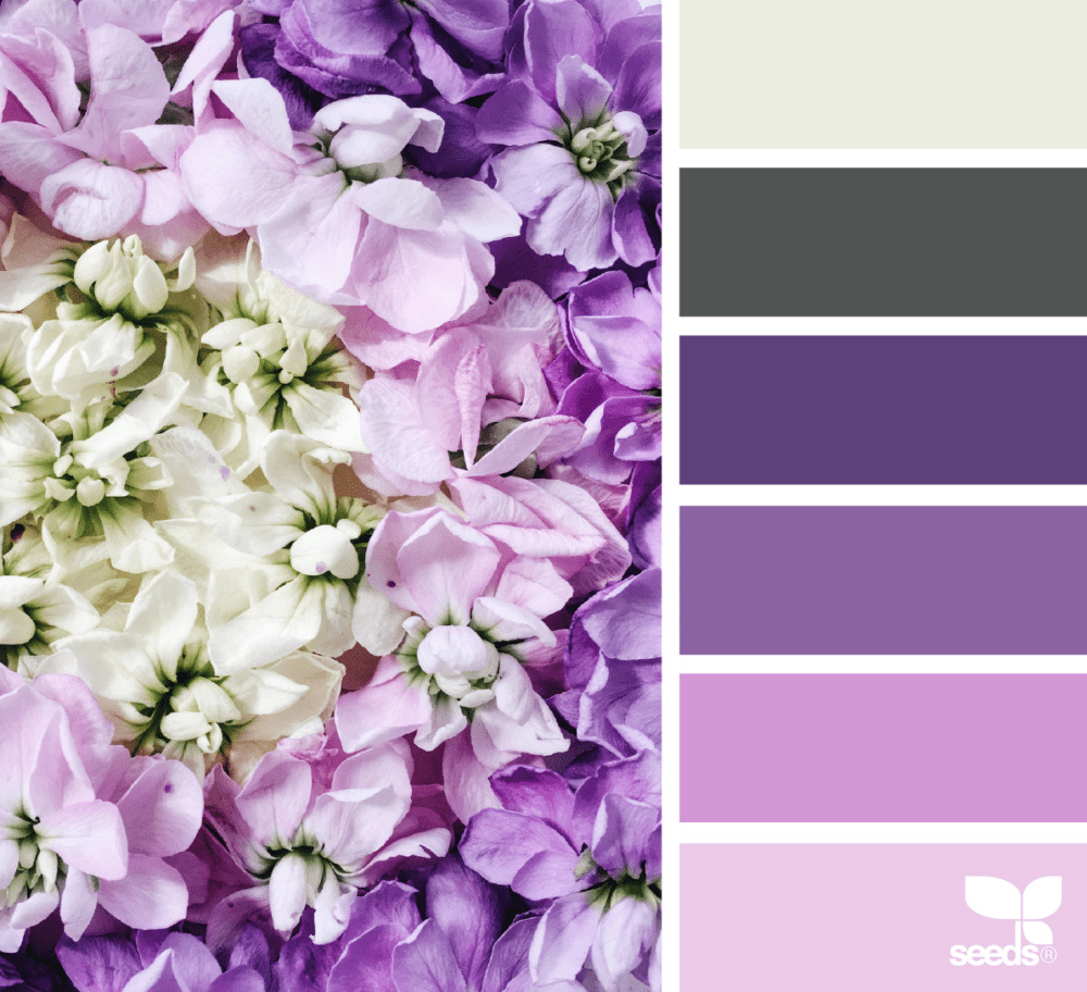 Floral Color Palette Inspiration Sparkles And Shoes Floral Color Palette Inspiration Sparkles And Shoes