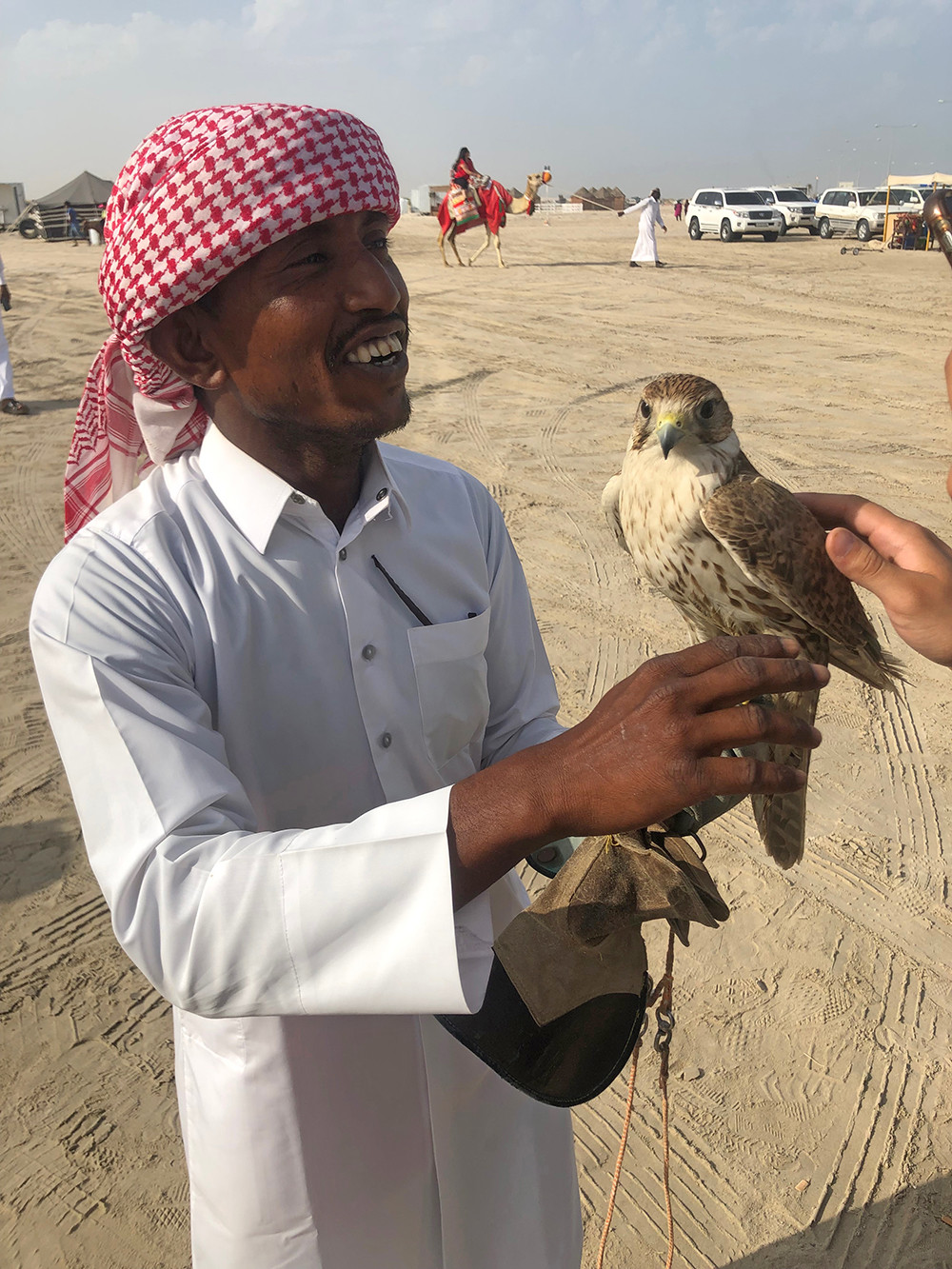 Explore the Sand Dunes of Qatar | Sparkles and Shoes