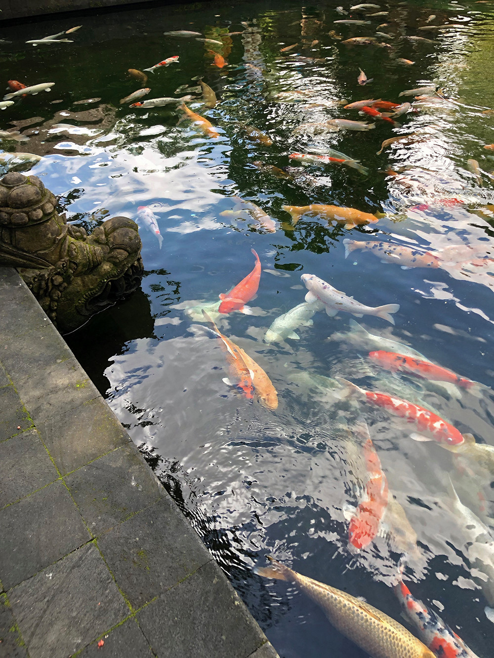 Tirta Empul, The Bali Water Temple - Sparkles and Shoes