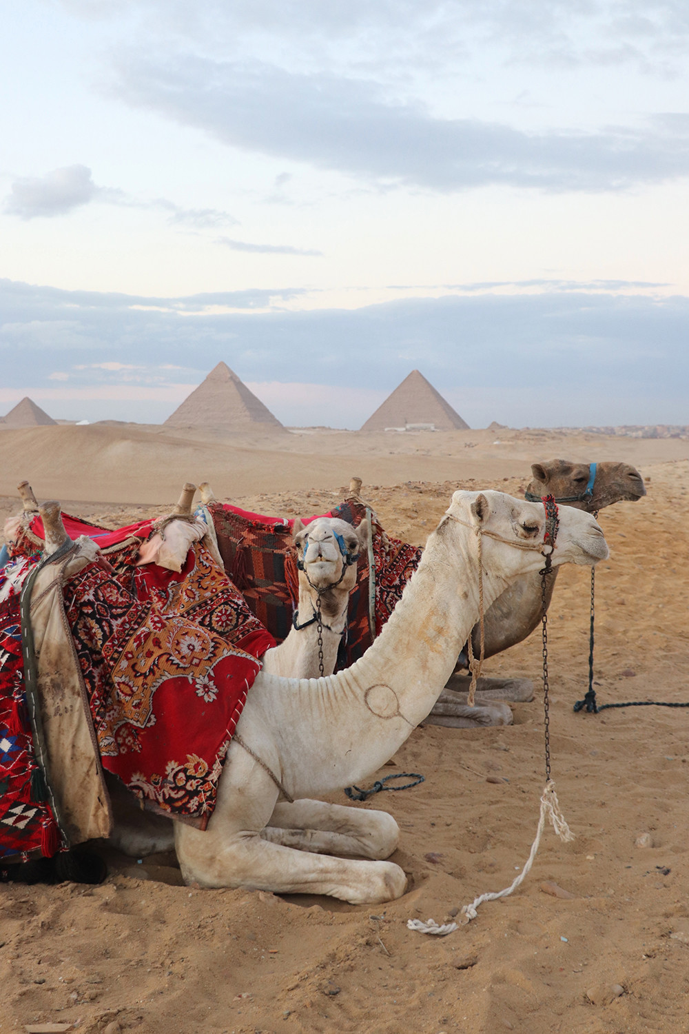 Our Sunset Pyramid Camel Ride - Sparkles and Shoes