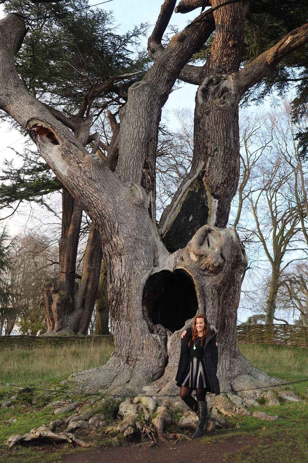 Christmas at Blenheim Palace - Sparkles and Shoes
