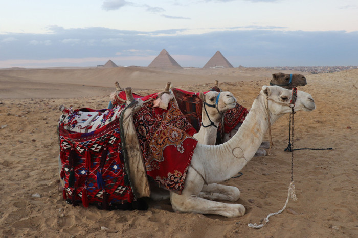Our Sunset Pyramid Camel Ride - Sparkles and Shoes