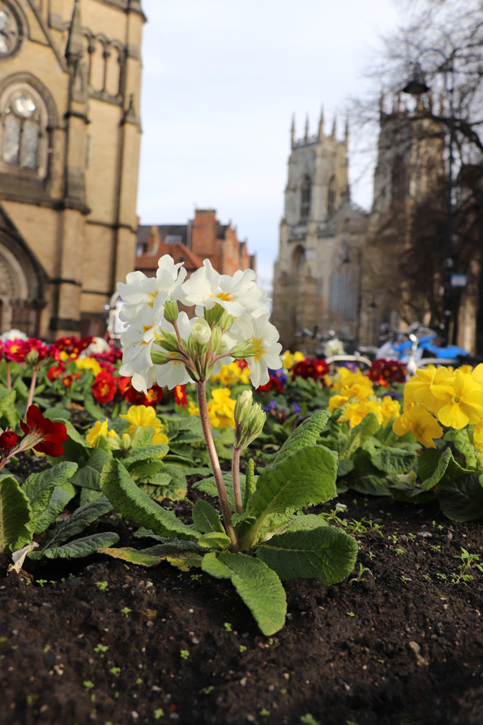 A Weekend in York - Sparkles and Shoes Travel Blog