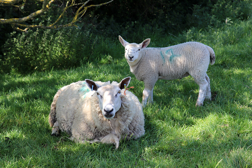 Exploring Rutland County in England - Sparkles and Shoes