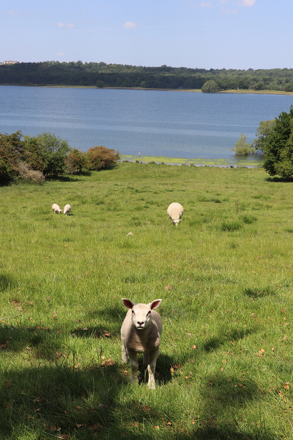 Exploring Rutland County in England - Sparkles and Shoes