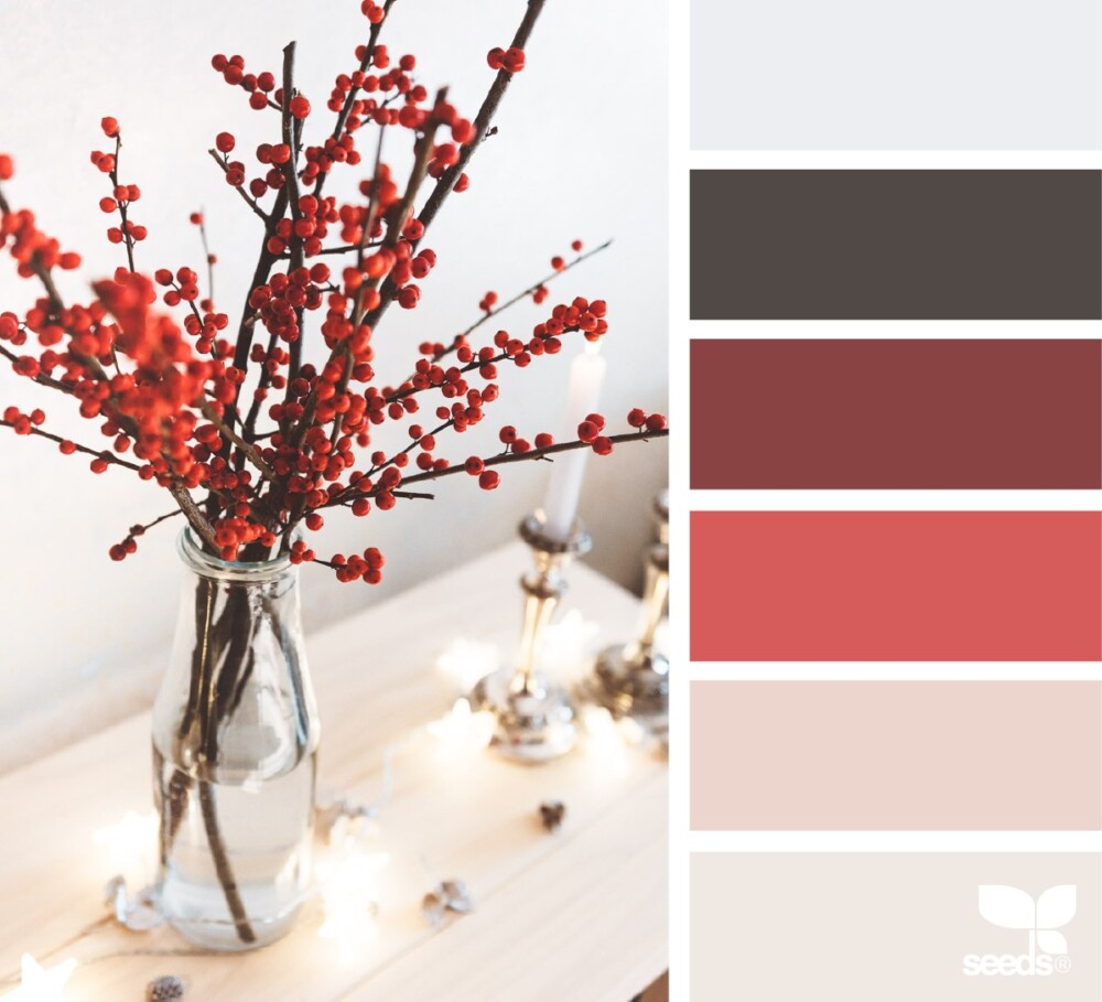 An Winter Color Palette - Sparkles and Shoes Blog